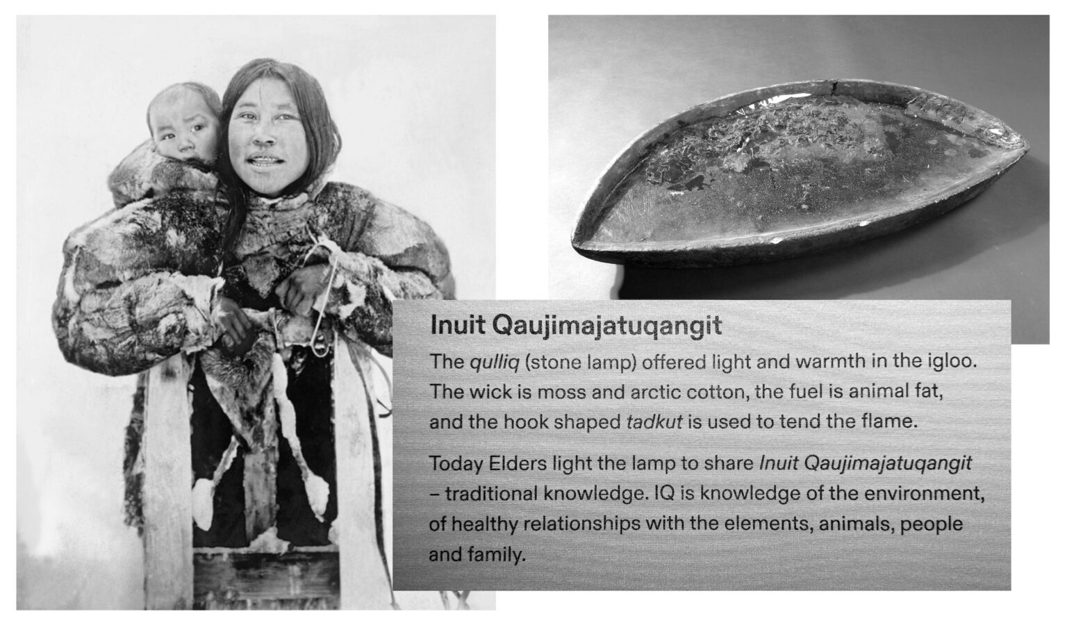 Inuit Qaujimajatuqangit (IQ): Levenswijsheid uit het Hoge Noorden ...